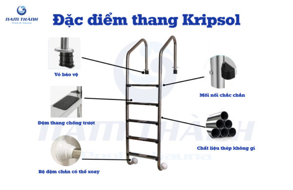 Thang hồ bơi 5 bậc 304 không gỉ, BH 12 tháng, giá tốt